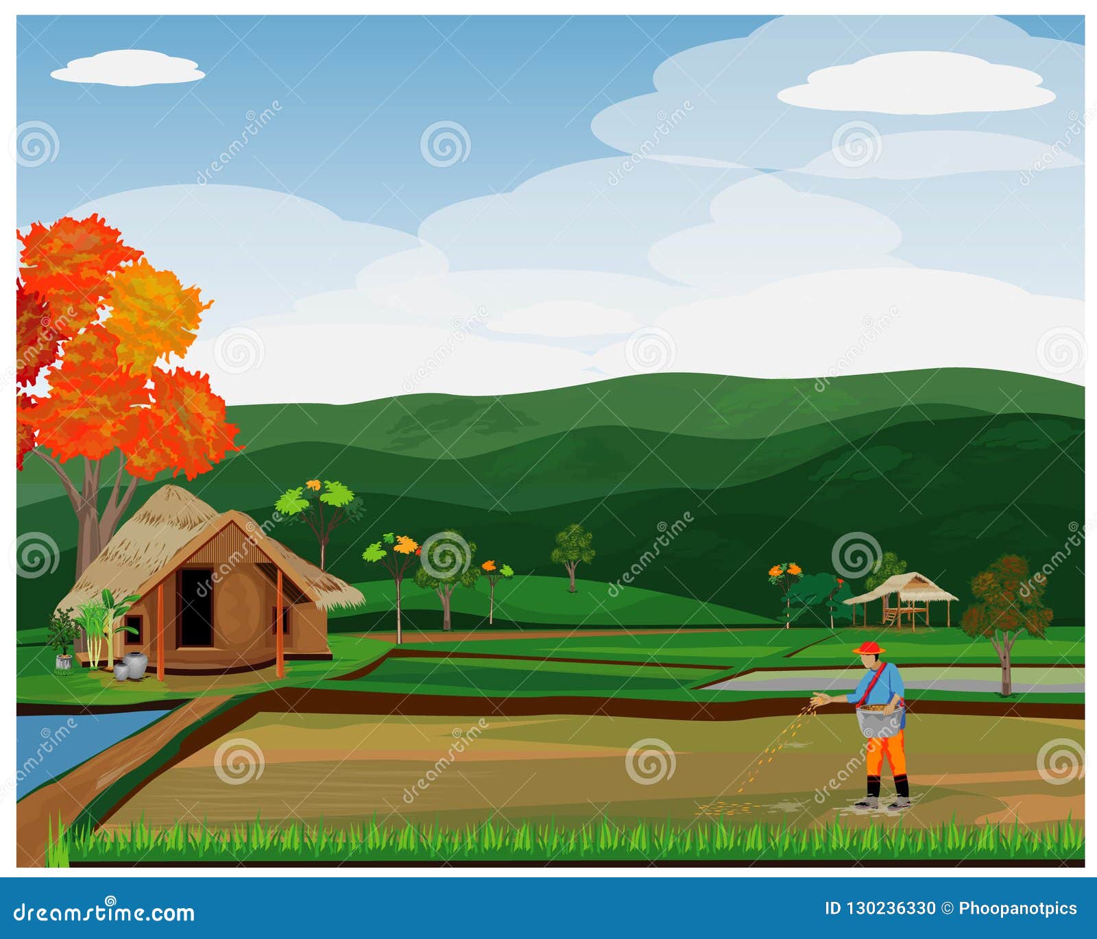 Farmer sow in paddy field stock vector. Illustration of lifestyle ...