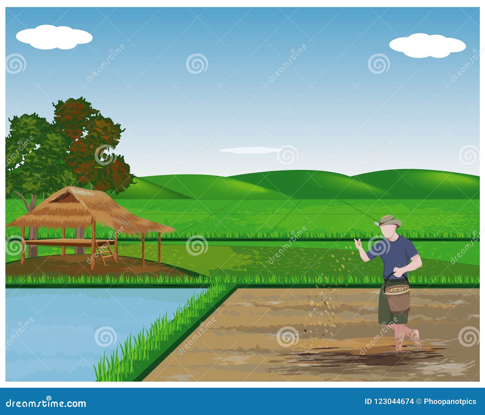 Farmer sowing rice stock vector. Illustration of countryside - 123044674