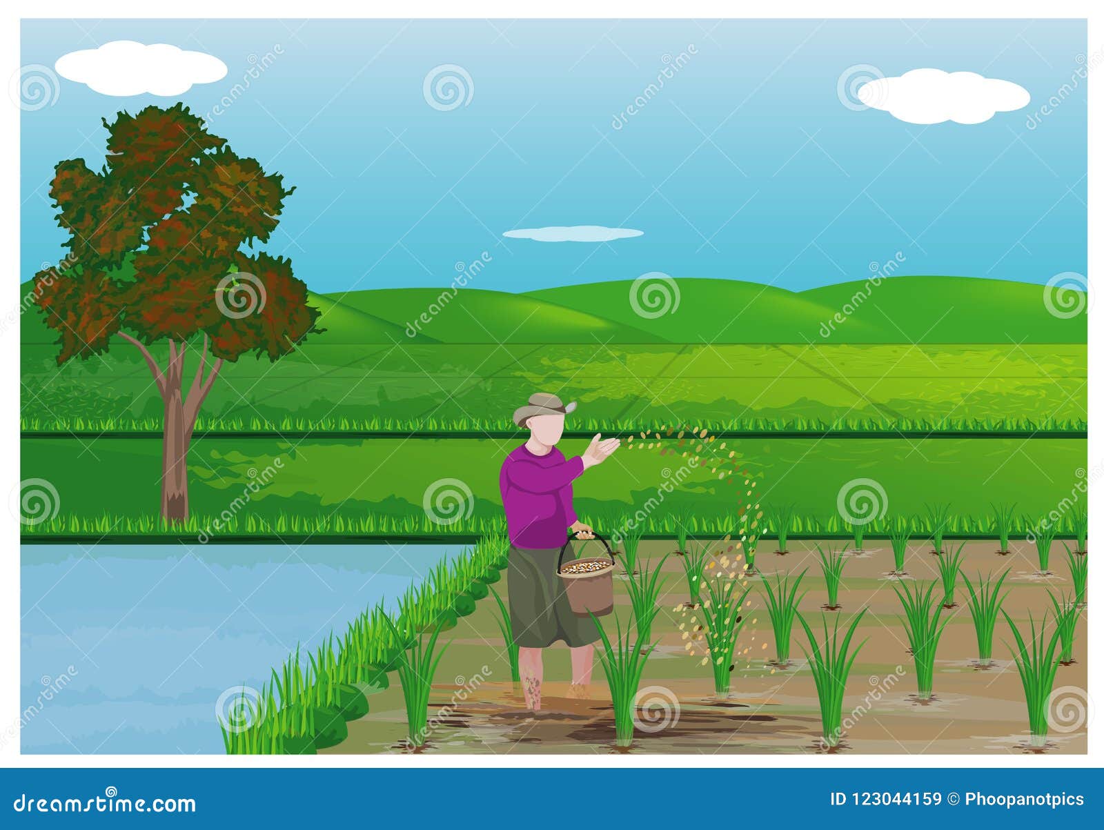 Farmer sowing rice stock vector. Illustration of cloud - 123044159