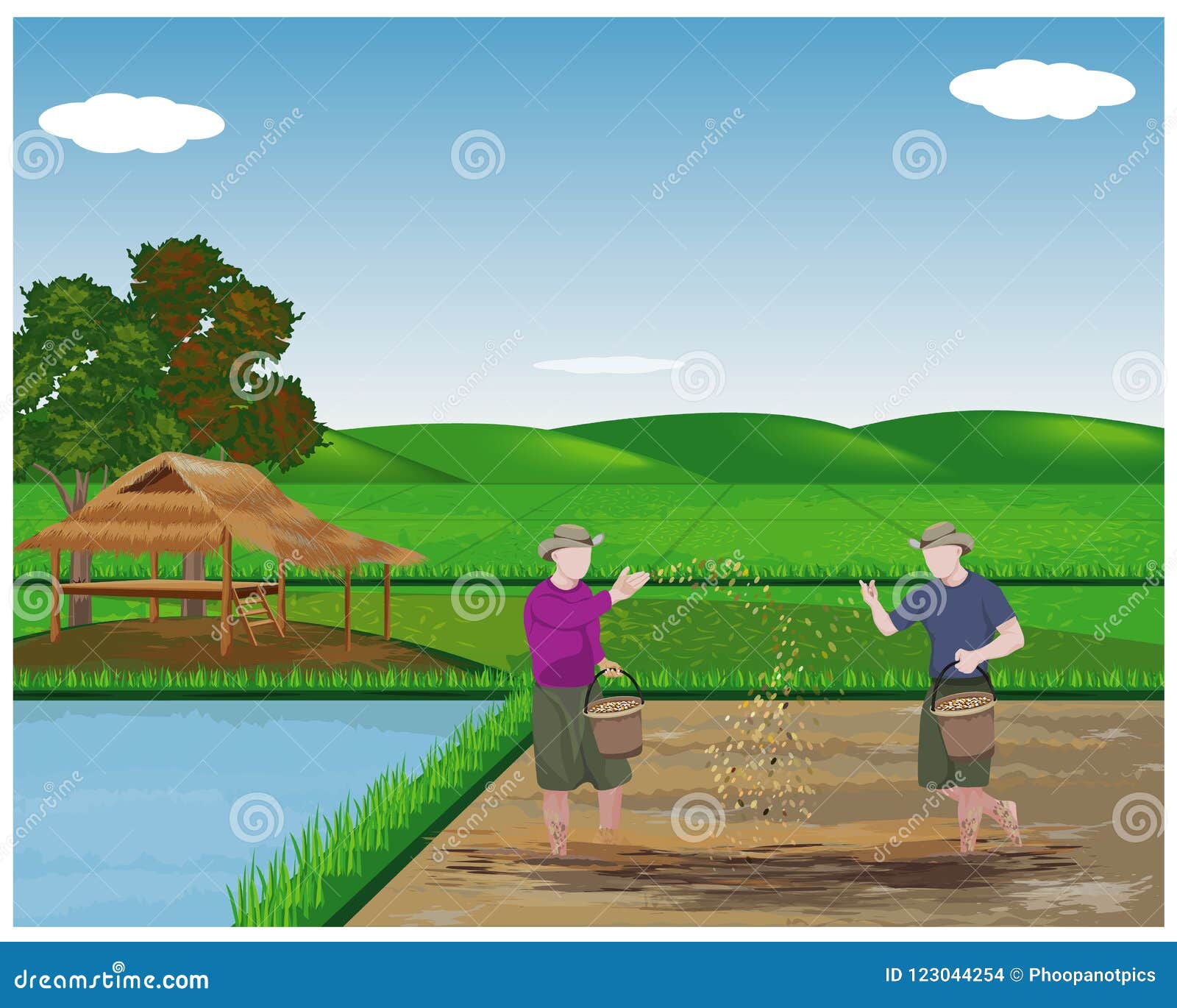 Farmer sowing rice stock vector. Illustration of rice - 123044254