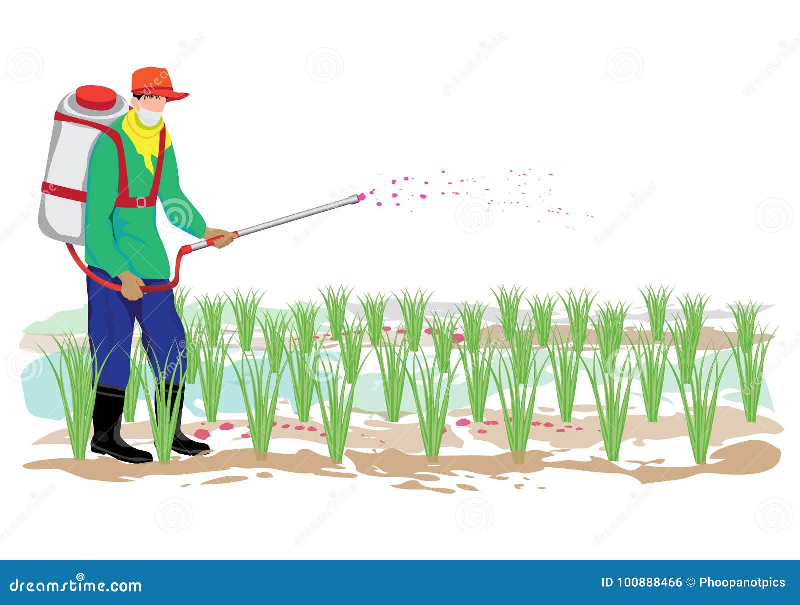 Farmer spray rice plant stock illustration. Illustration of gallon ...
