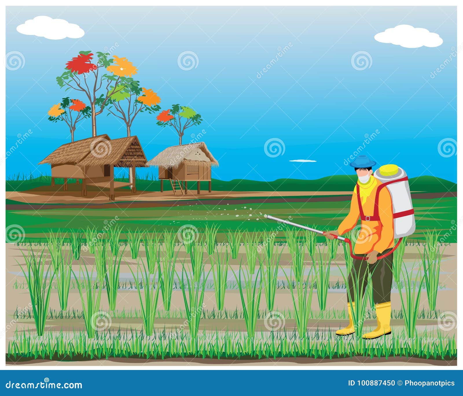 Farmer spray rice plant stock vector. Illustration of mountain - 100887450