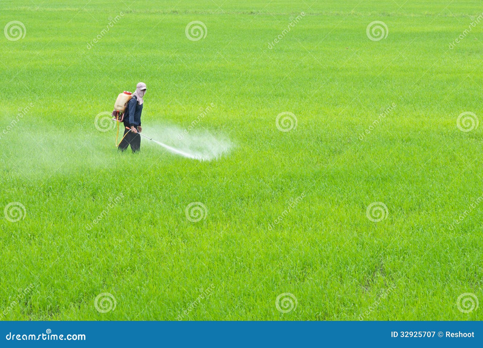 Farmer stock image. Image of water, worker, fertilizer - 32925707