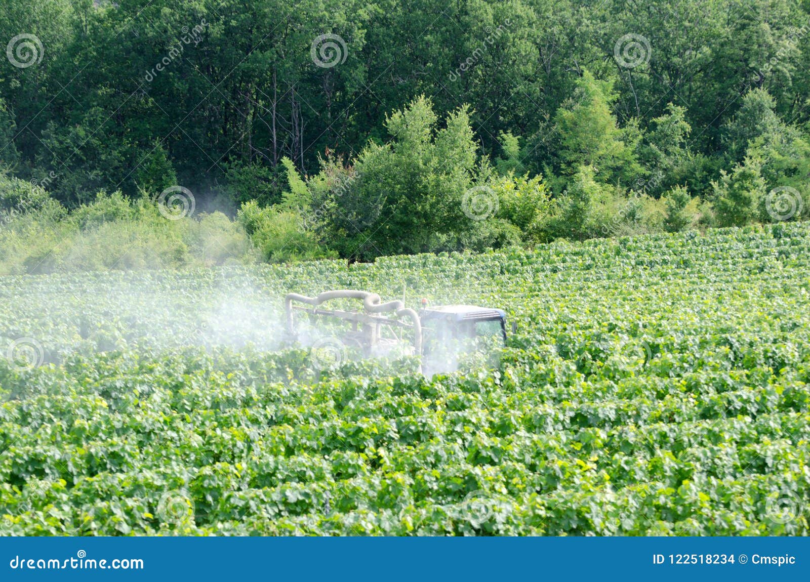 Spraying stock photo. Image of nature, insecticide, field - 122518234