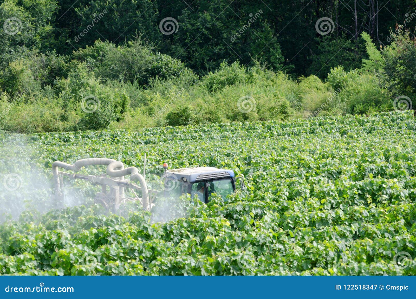 Farmer Spraying Grape Vines Stock Image - Image of sprayer, crop: 122518347