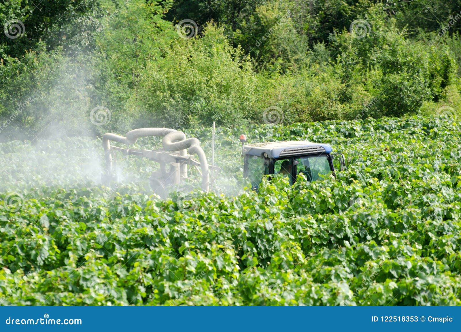 Farmer Spraying Grape Vines Stock Image - Image of grape, crop: 122518353