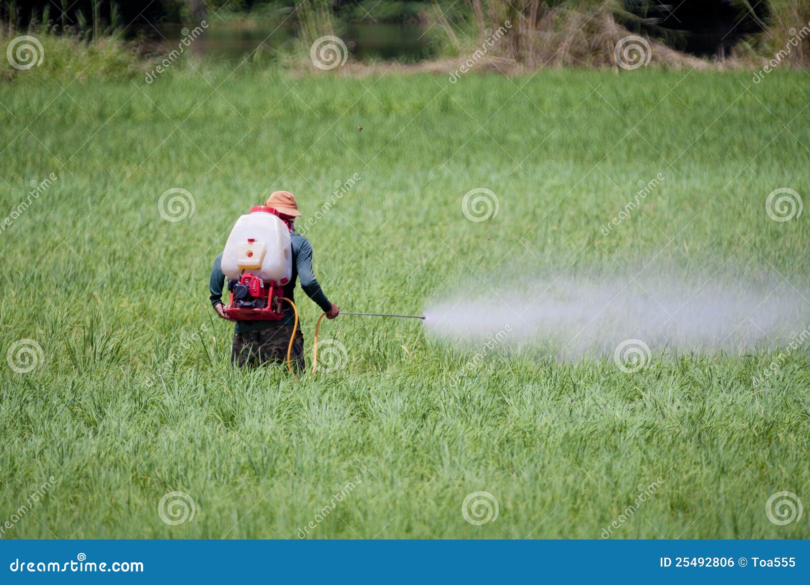 Farmer spraying pesticide stock photo. Image of petrochemical - 25492806