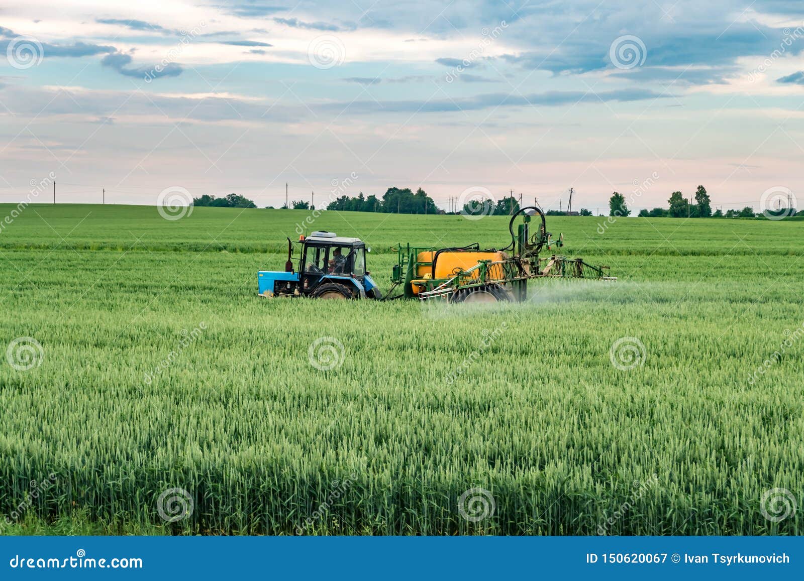 Farmer Spraying Wheat Field with Tractor Sprayer at Spring Season Stock ...