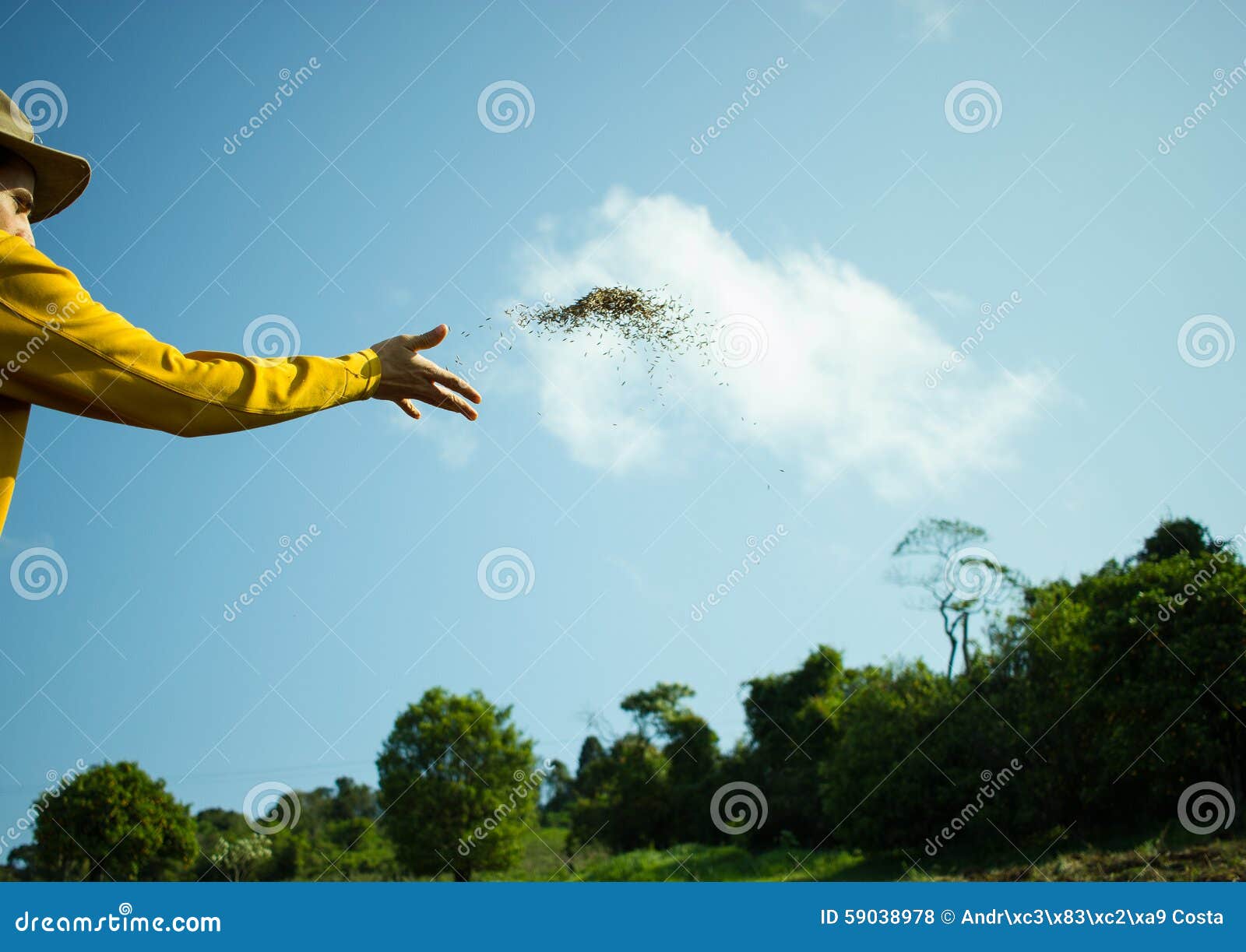 Farmer Spreading Seeds stock photo. Image of wheat, food - 59038978