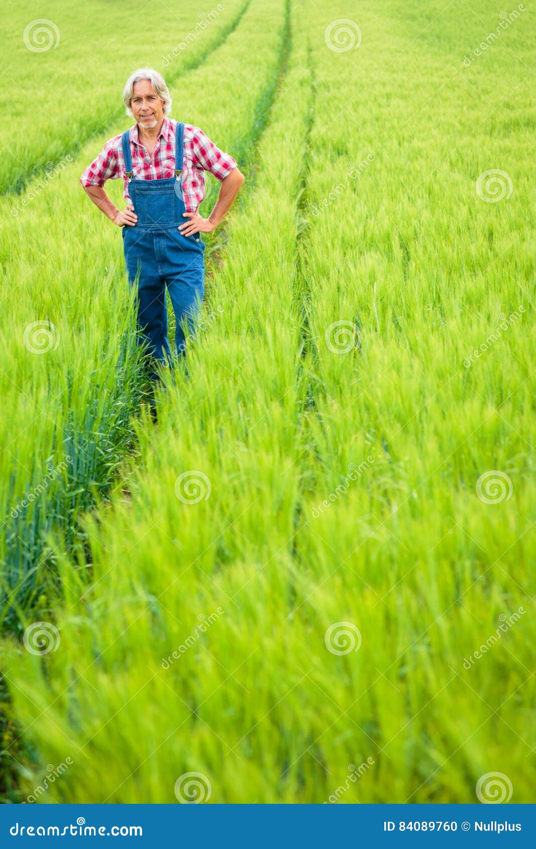 Farmer Standing in a Field stock photo. Image of cereal - 84089760