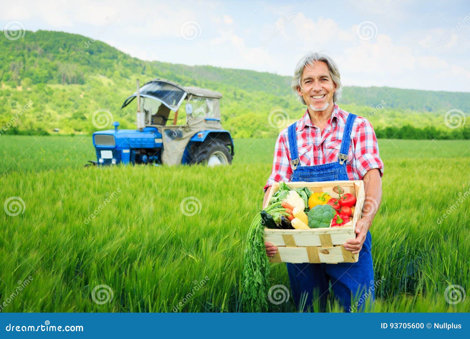 Farmer Standing in a Field stock photo. Image of male - 93705600