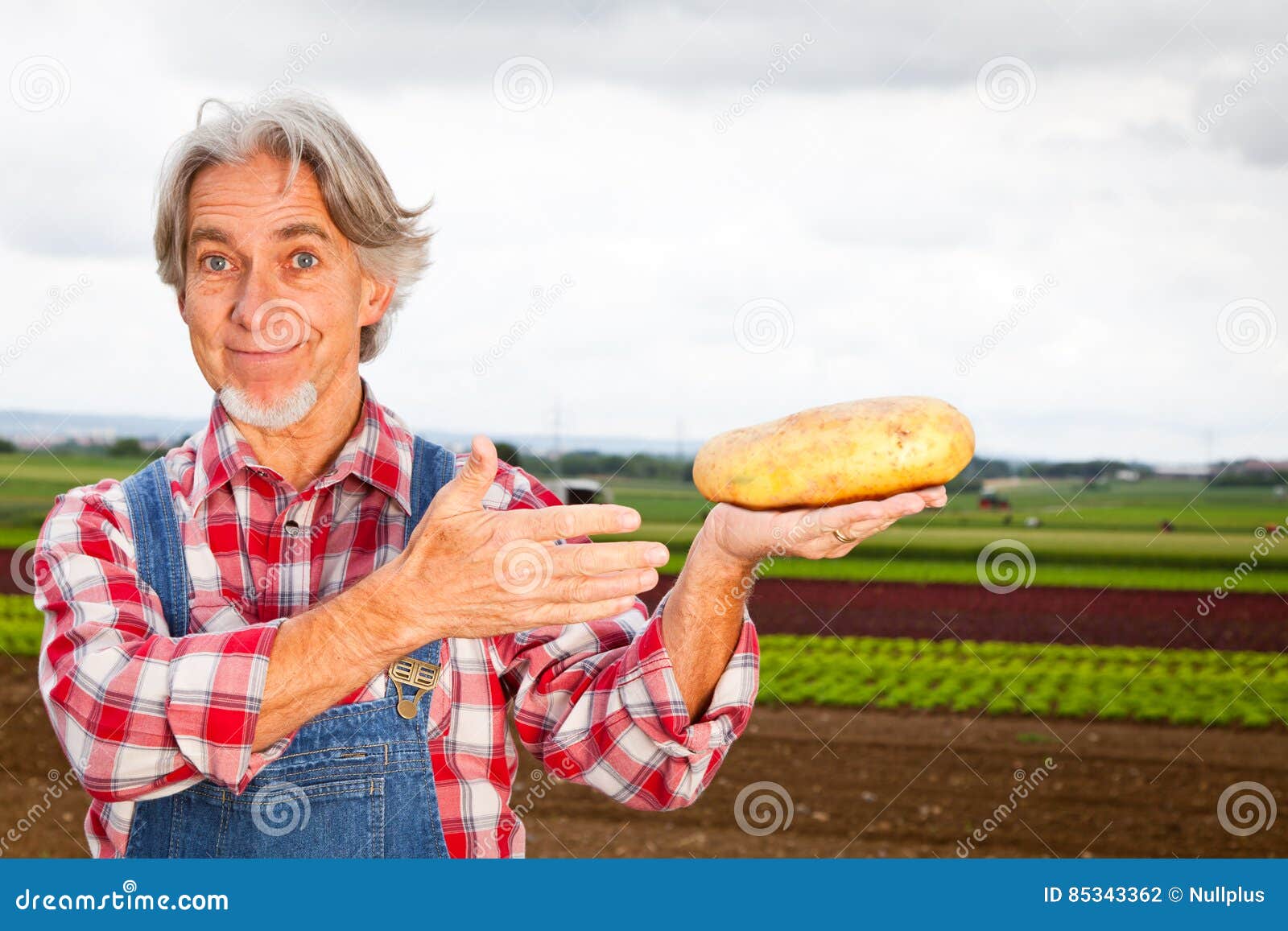 Farmer Standing in Front of His Field Stock Photo - Image of happy ...