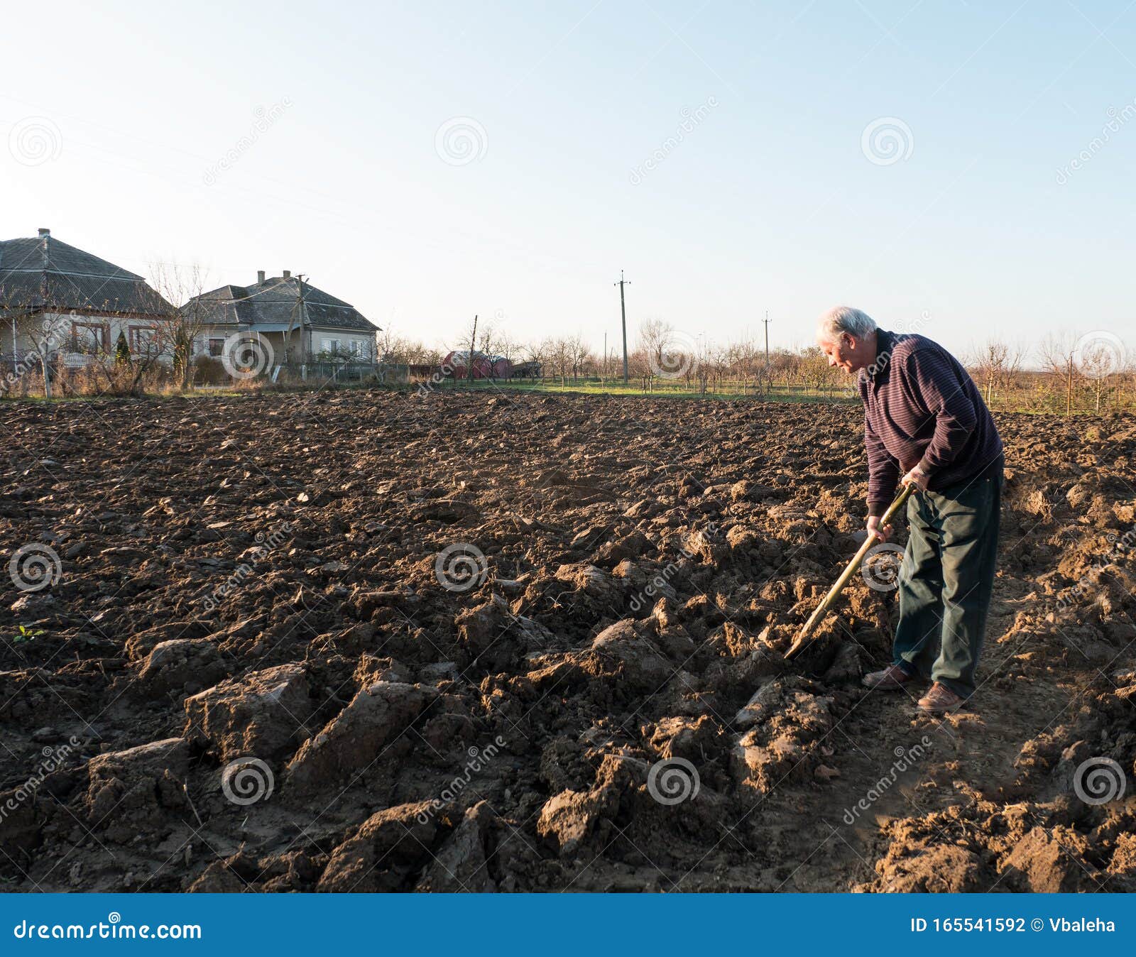 Farmer Standing with a Shovel on the Field. Spring Time Stock Photo ...