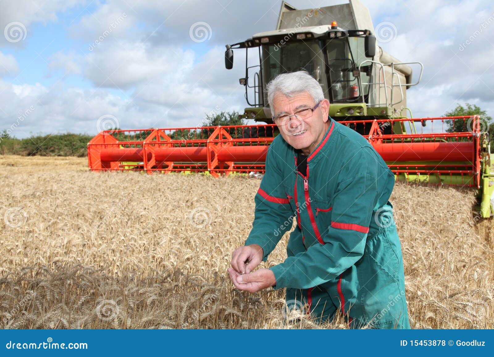 Farmer Standing in Wheat Field Stock Photo - Image of checking ...