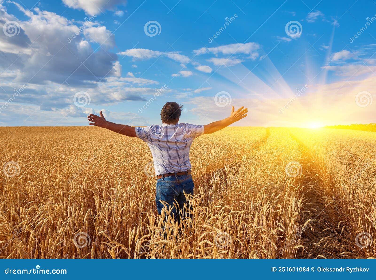 Farmer Standing in a Wheat Field Stock Photo - Image of bread ...