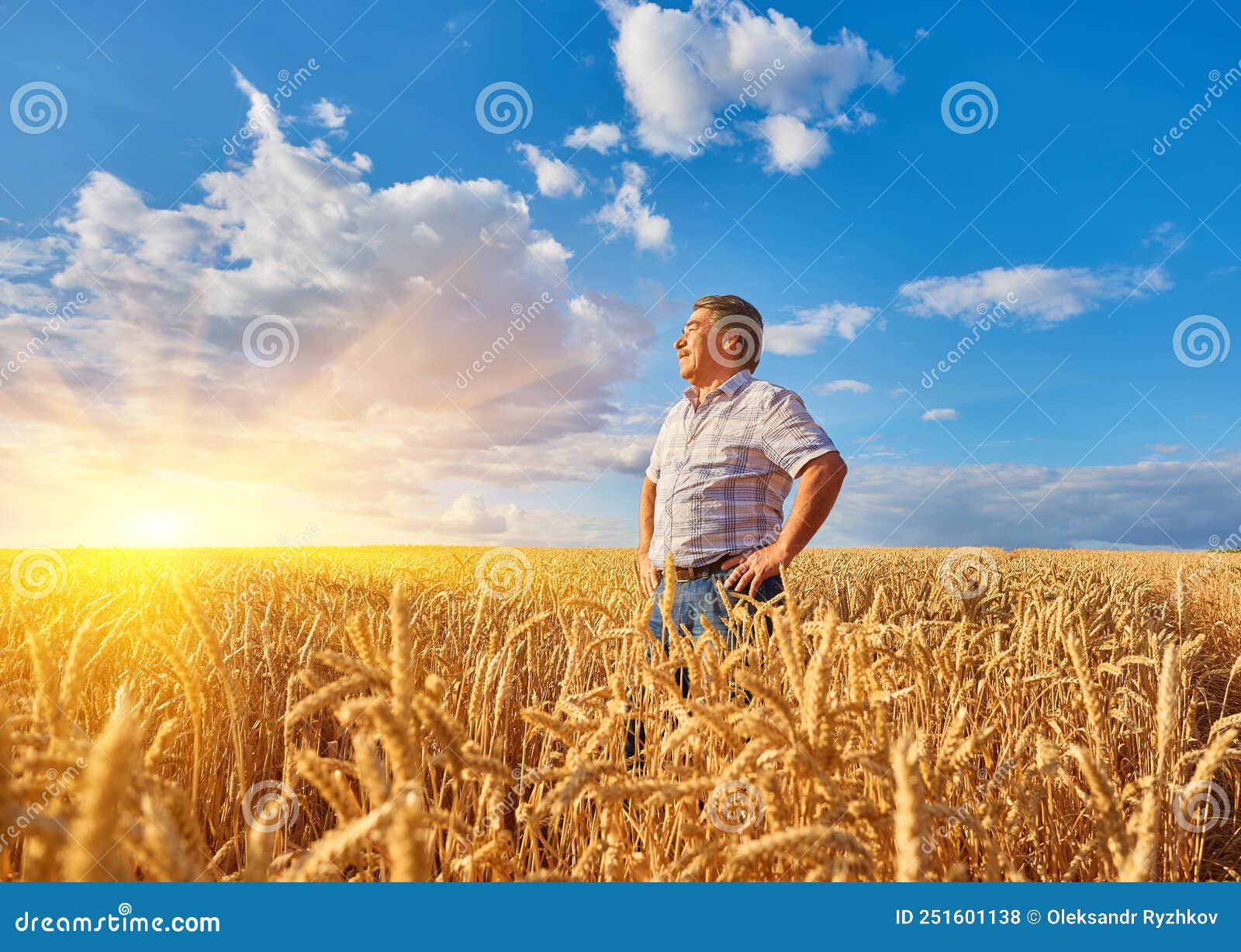 Farmer Standing in a Wheat Field Stock Photo - Image of grain, country ...