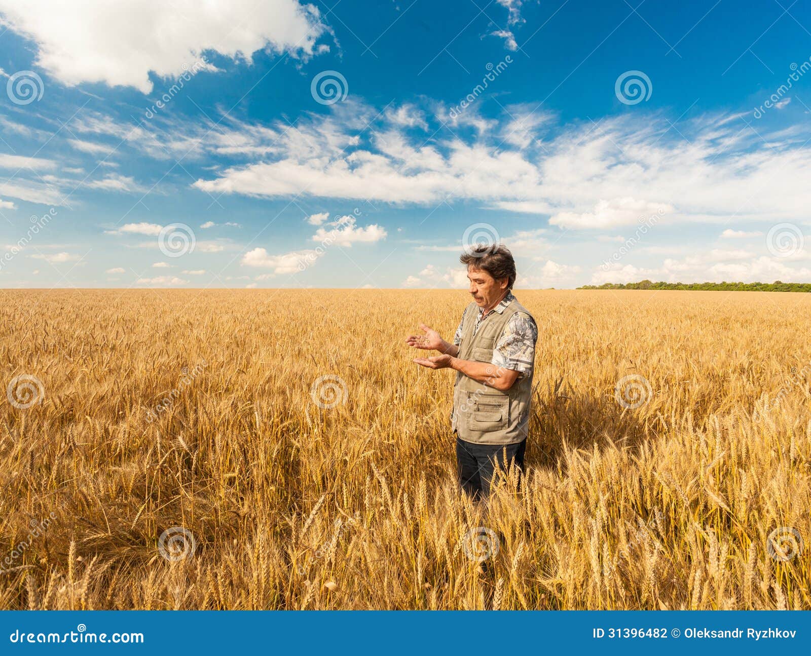 Farmer Standing in a Wheat Field Stock Photo - Image of ground, blue ...