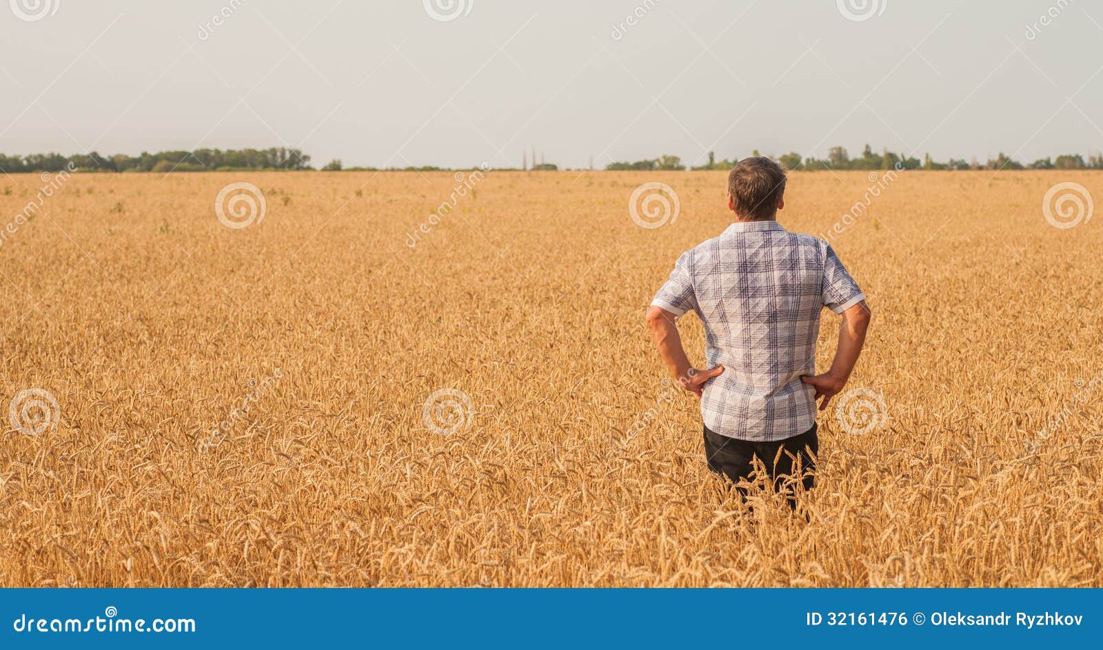 Farmer Standing in a Wheat Field Stock Photo - Image of land, farmland ...