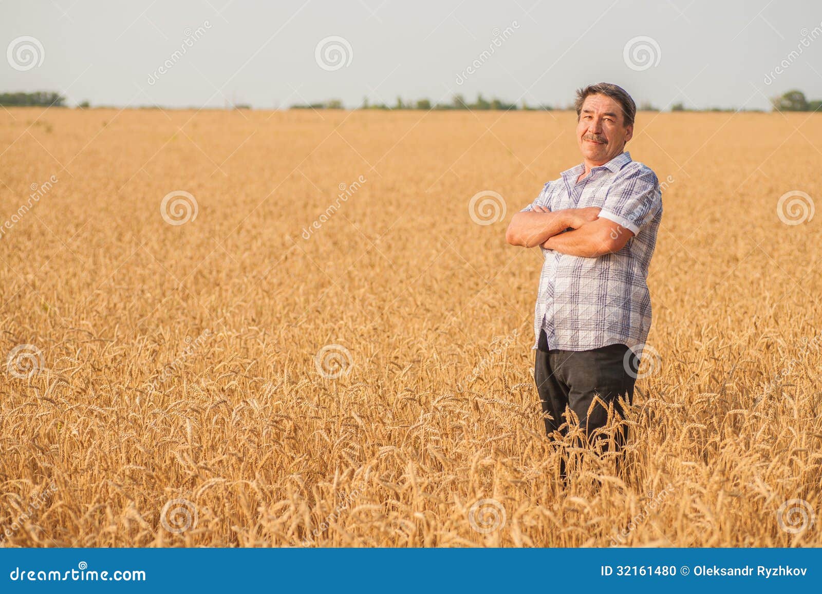 Farmer Standing in a Wheat Field Stock Photo - Image of countryside ...