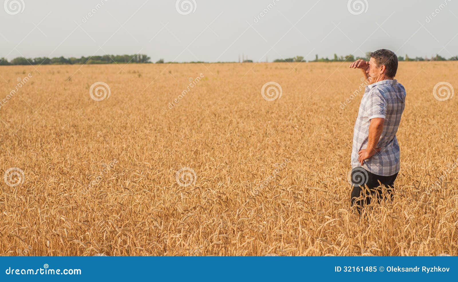 Farmer Standing in a Wheat Field Stock Image - Image of countryside ...