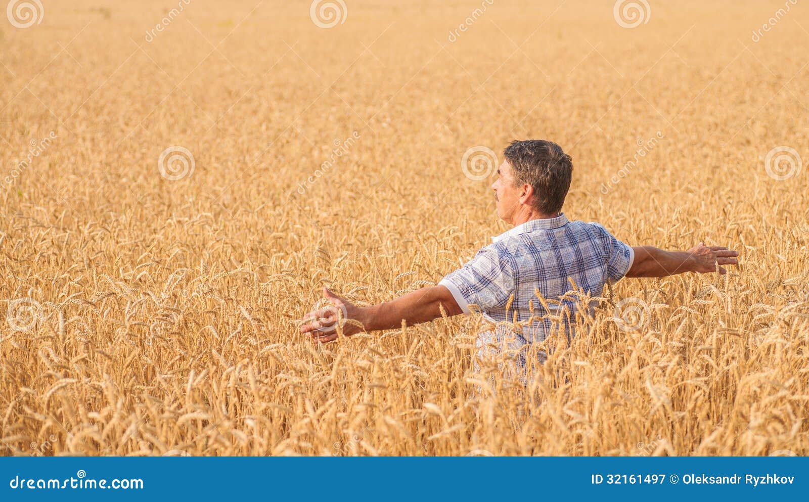 Farmer Standing in a Wheat Field Stock Image - Image of male, mature ...