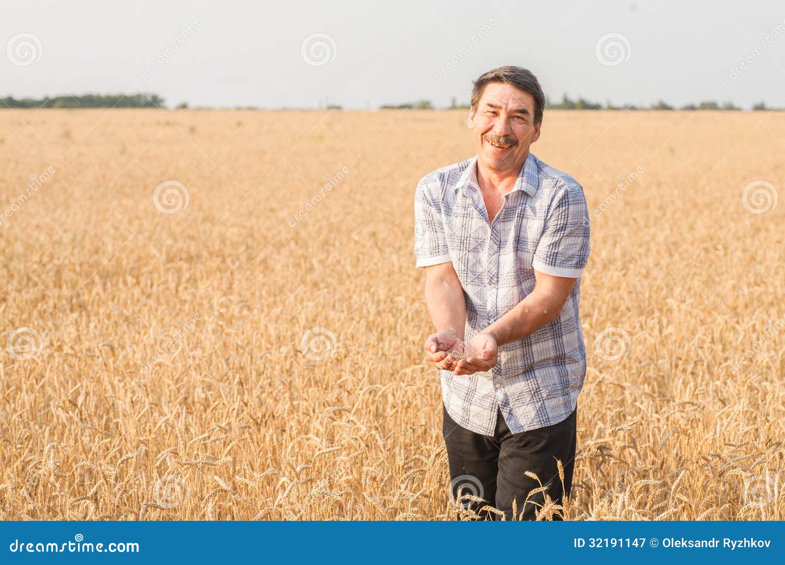 Farmer Standing in a Wheat Field Stock Image - Image of clouds, golden ...