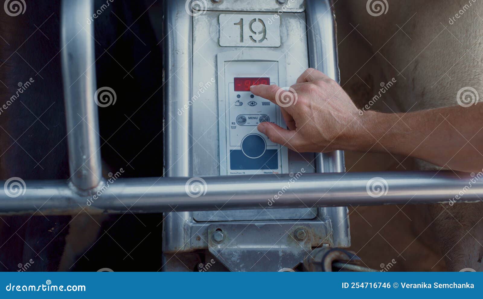 Farmer Start Milking Process Pressing Button on Carousel Control Panel ...