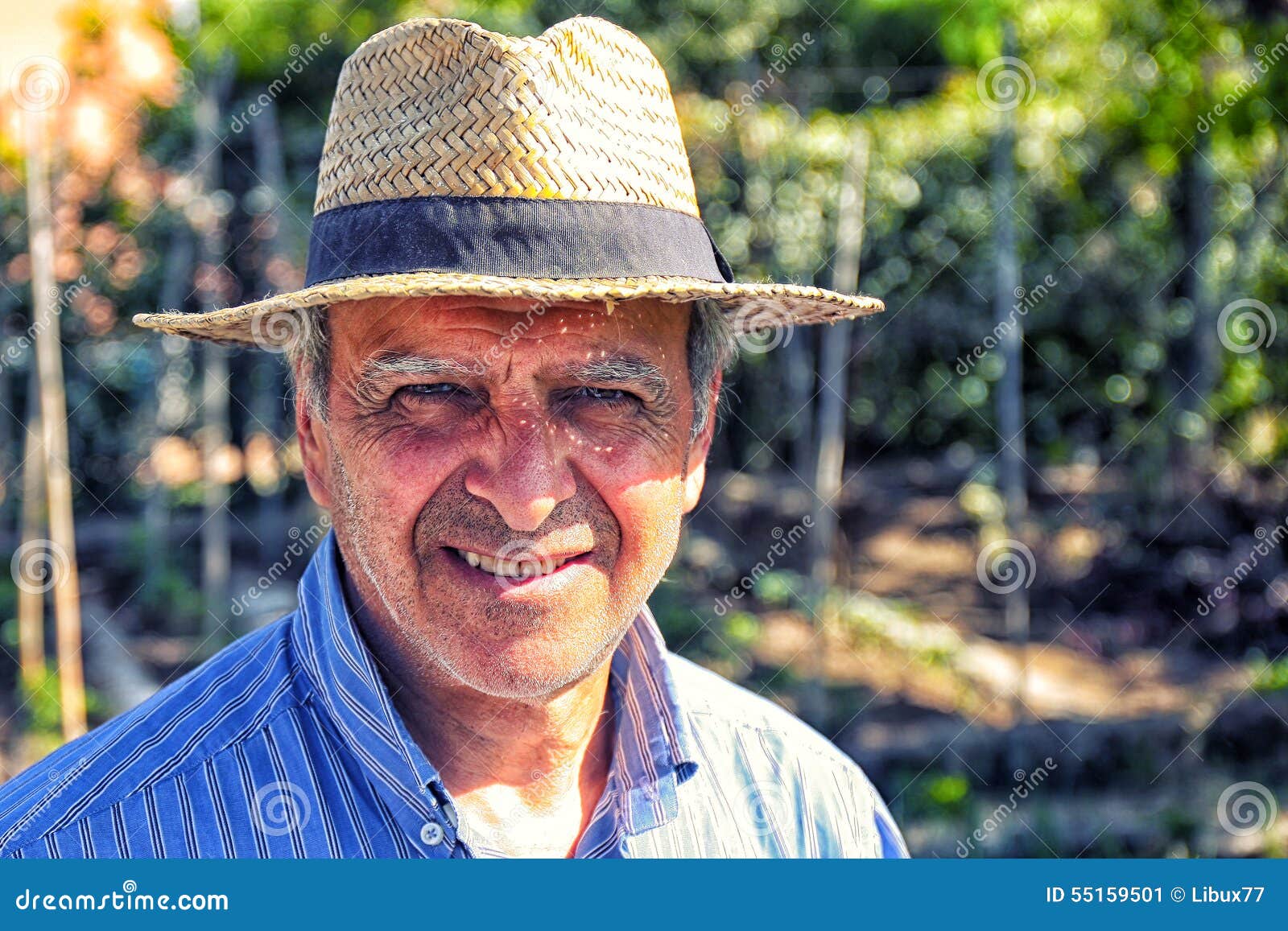 Farmer Straw Hat Portrait Stock Image | CartoonDealer.com #55159501