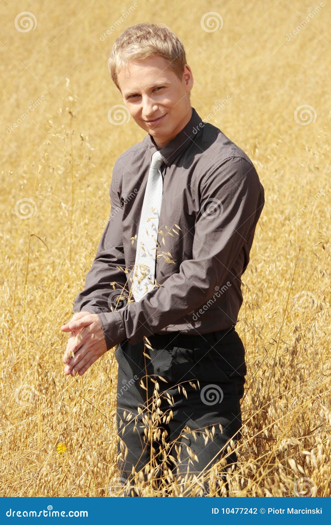 Farmer in Suit Standing in Field of Oats Stock Photo - Image of ...