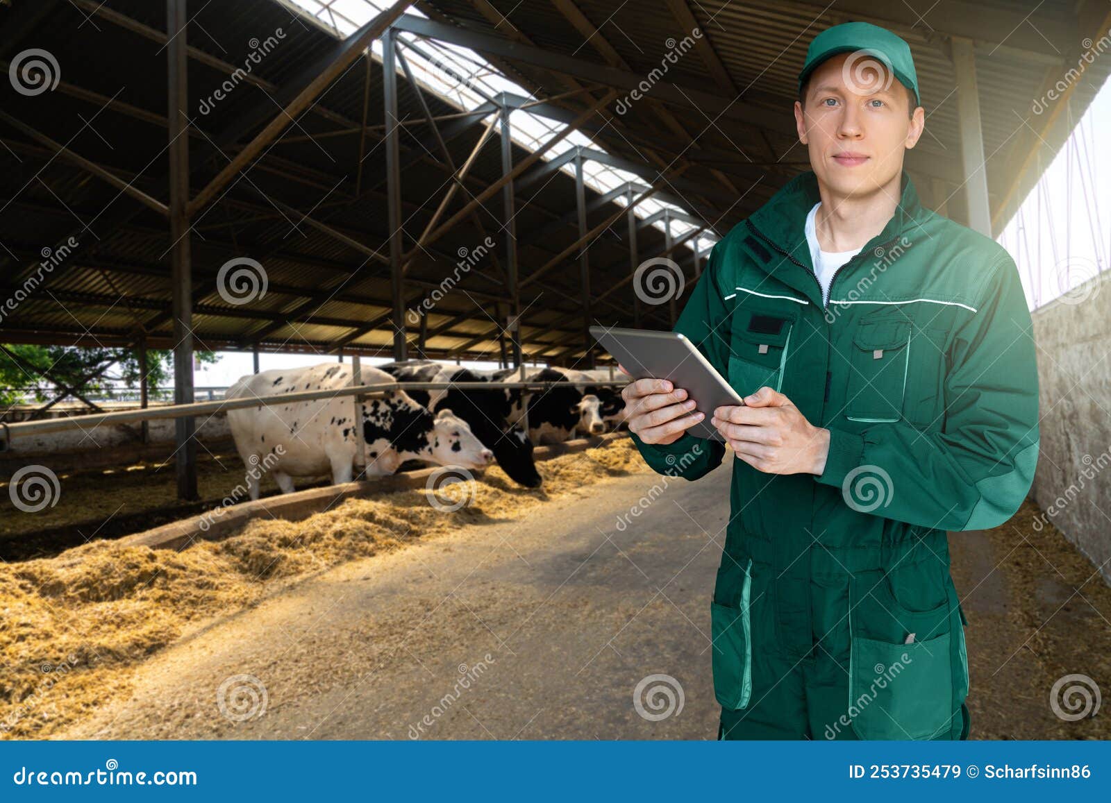 Farmer with Tablet Computer Inspects Cows at a Dairy Farm. Stock Image ...