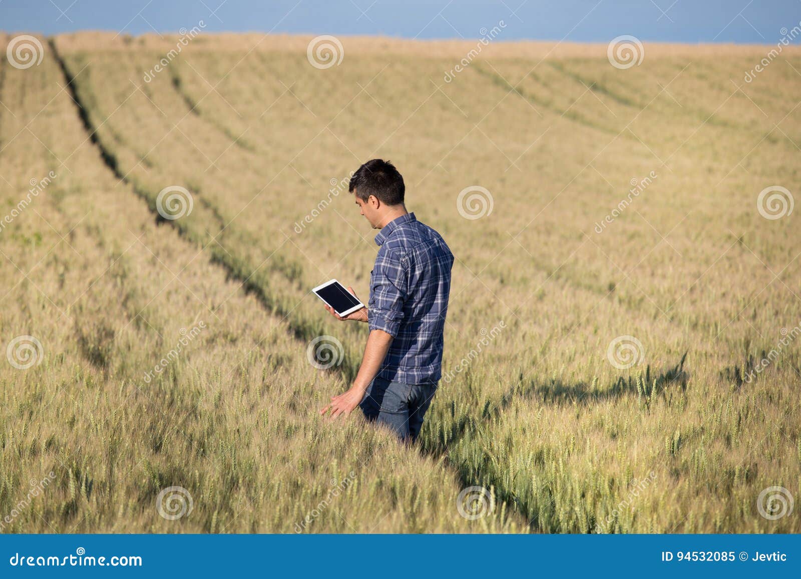 Farmer with Tablet in Field Stock Image - Image of agronomy, cereal ...
