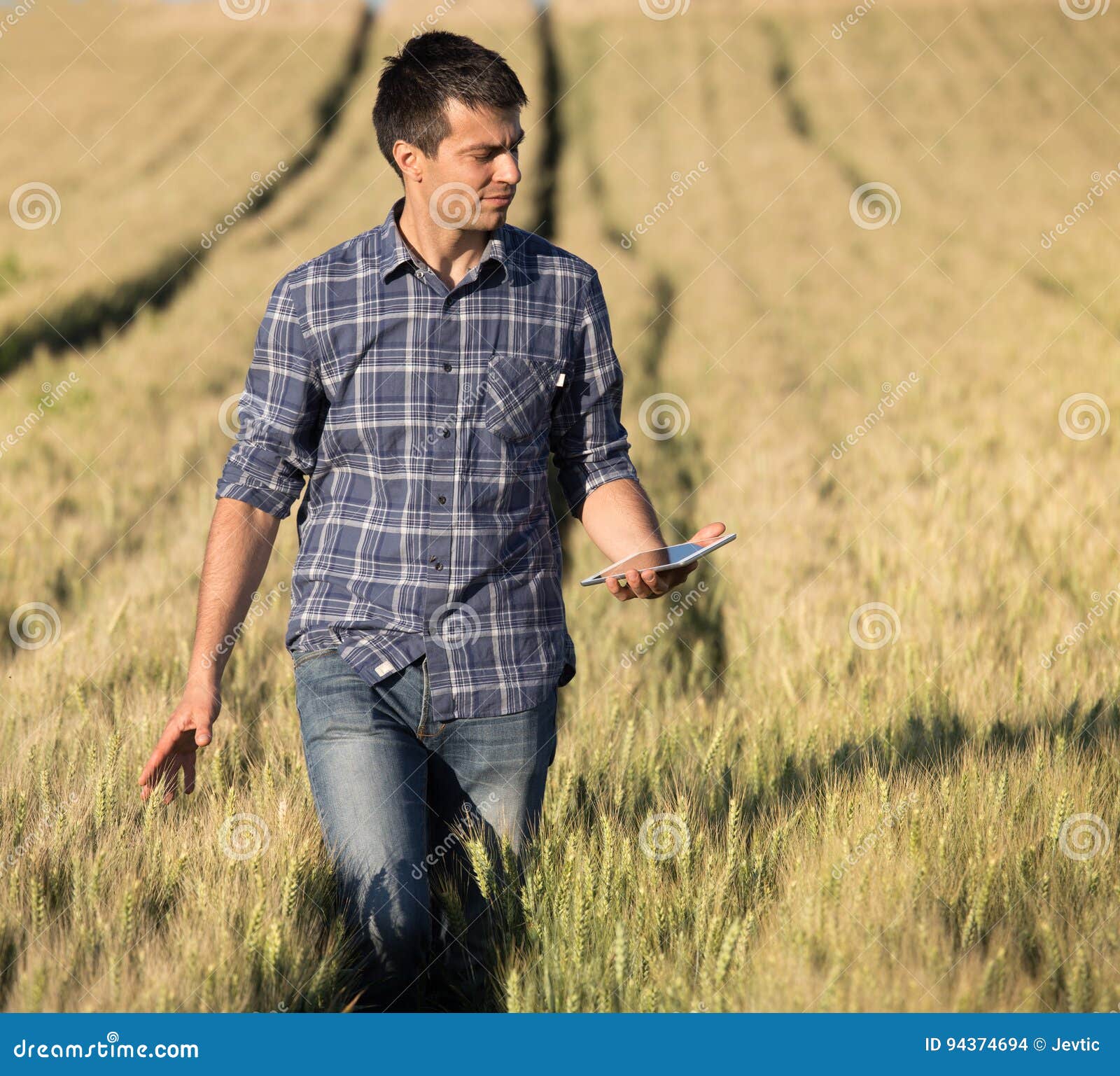 Farmer with Tablet in Wheat Field Stock Photo - Image of handsome ...