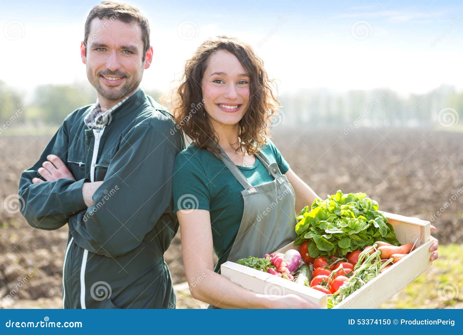 Farmer Team at Work in a Field Stock Photo - Image of vegetable ...