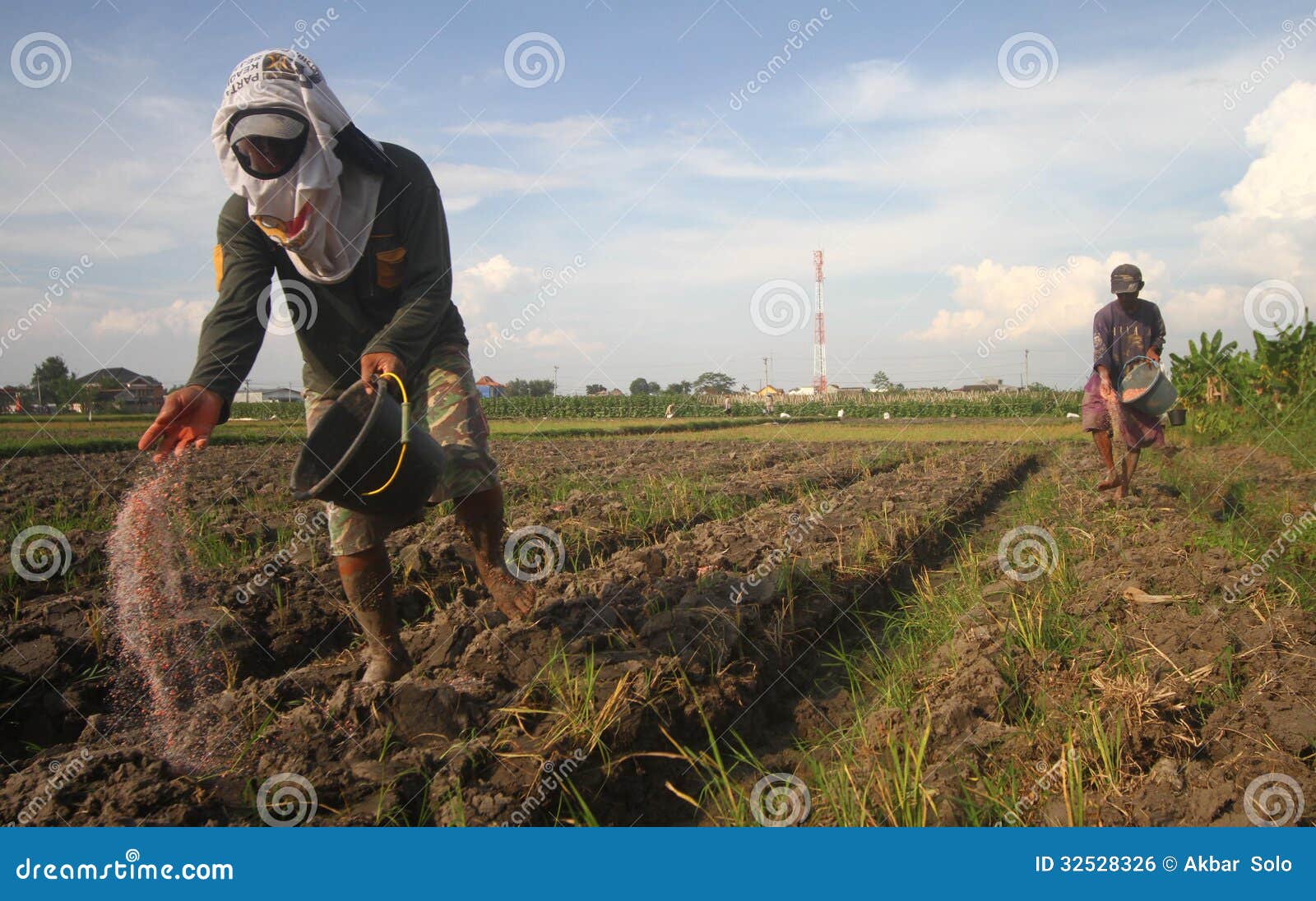 Farmer throwing fertilizer editorial photo. Image of harvest - 32528326