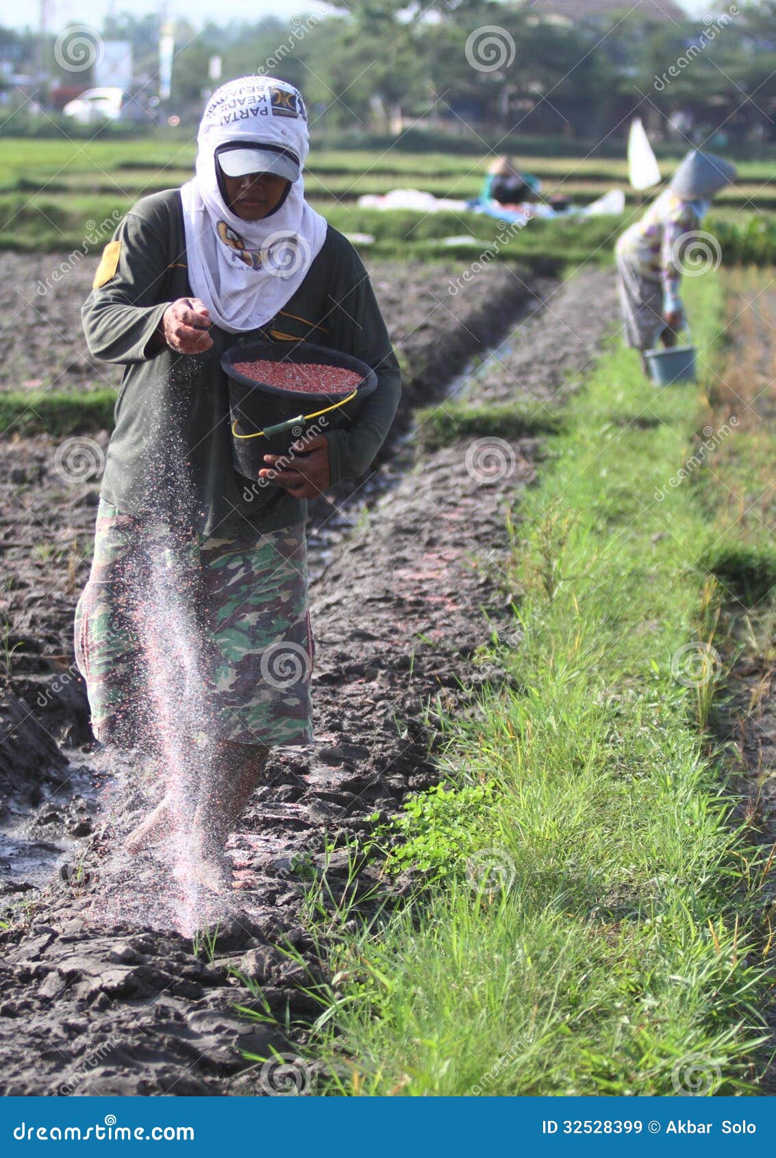 Farmer throwing fertilizer editorial stock image. Image of farmer ...