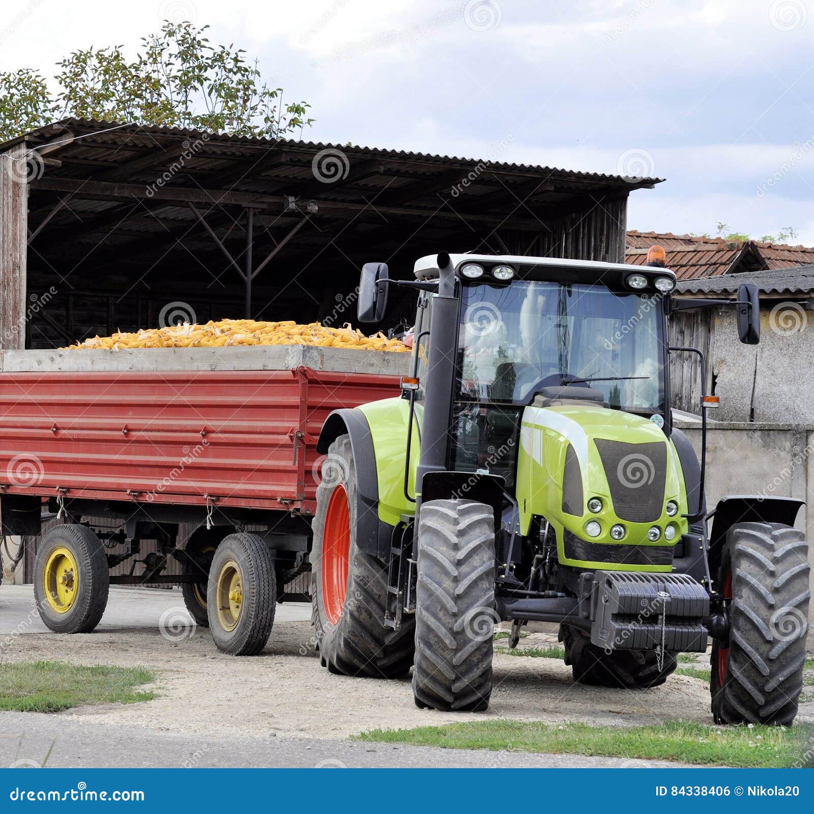 Farmer on Tractor Harvesting Corn in Autumn Season Stock Photo - Image ...
