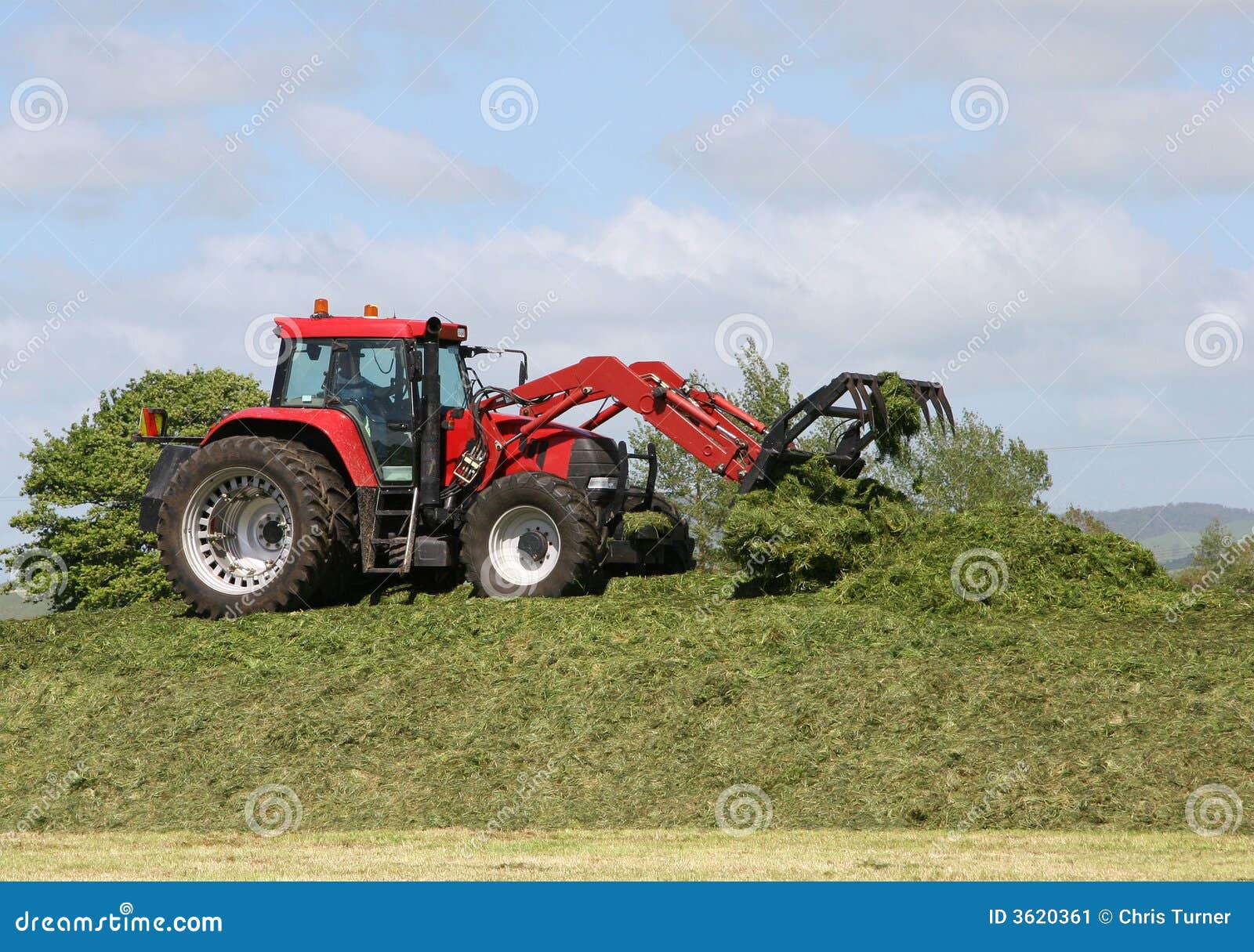 Farmer on Tractor Packing Down Silage Stack Stock Image - Image of ...