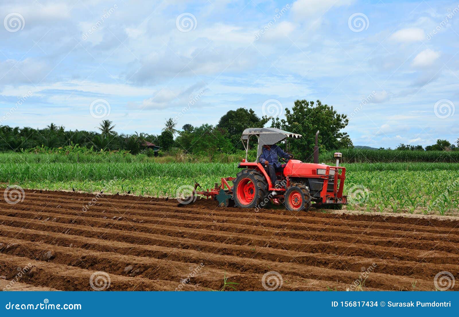 Farmer in Tractor Plowing Land with Red Tractor for Agriculture Stock ...