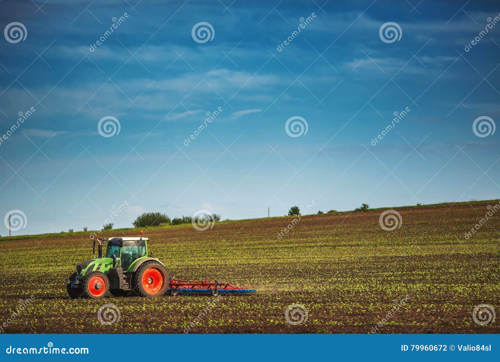 Farmer in Tractor Preparing Land with Seedbed Cultivator Editorial ...