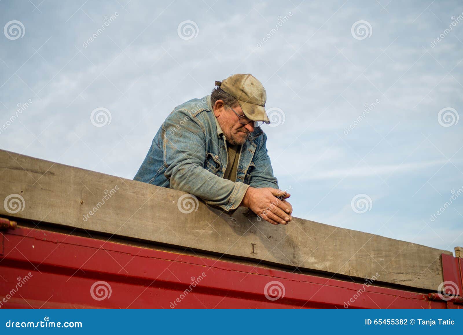 Farmer on tractor trailer stock photo. Image of corn - 65455382