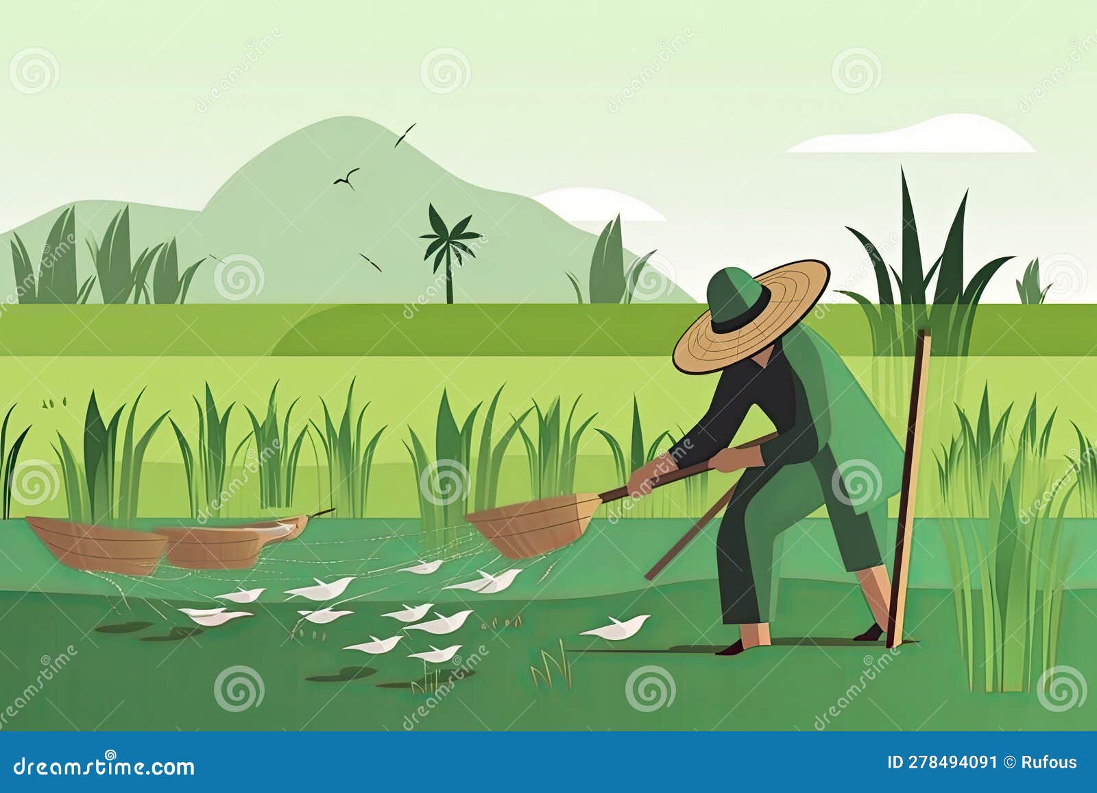 Farmer Transplant Rice Seeding Vector Design Stock Illustration ...