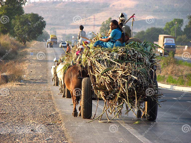 Farmer Transportation editorial photo. Image of asian - 23002916