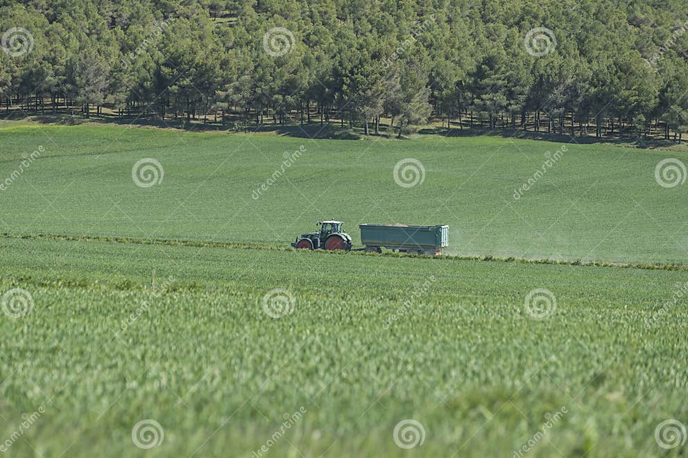 A Farmer Transporting Fertilizer with a Tractor Trailer Stock Photo ...