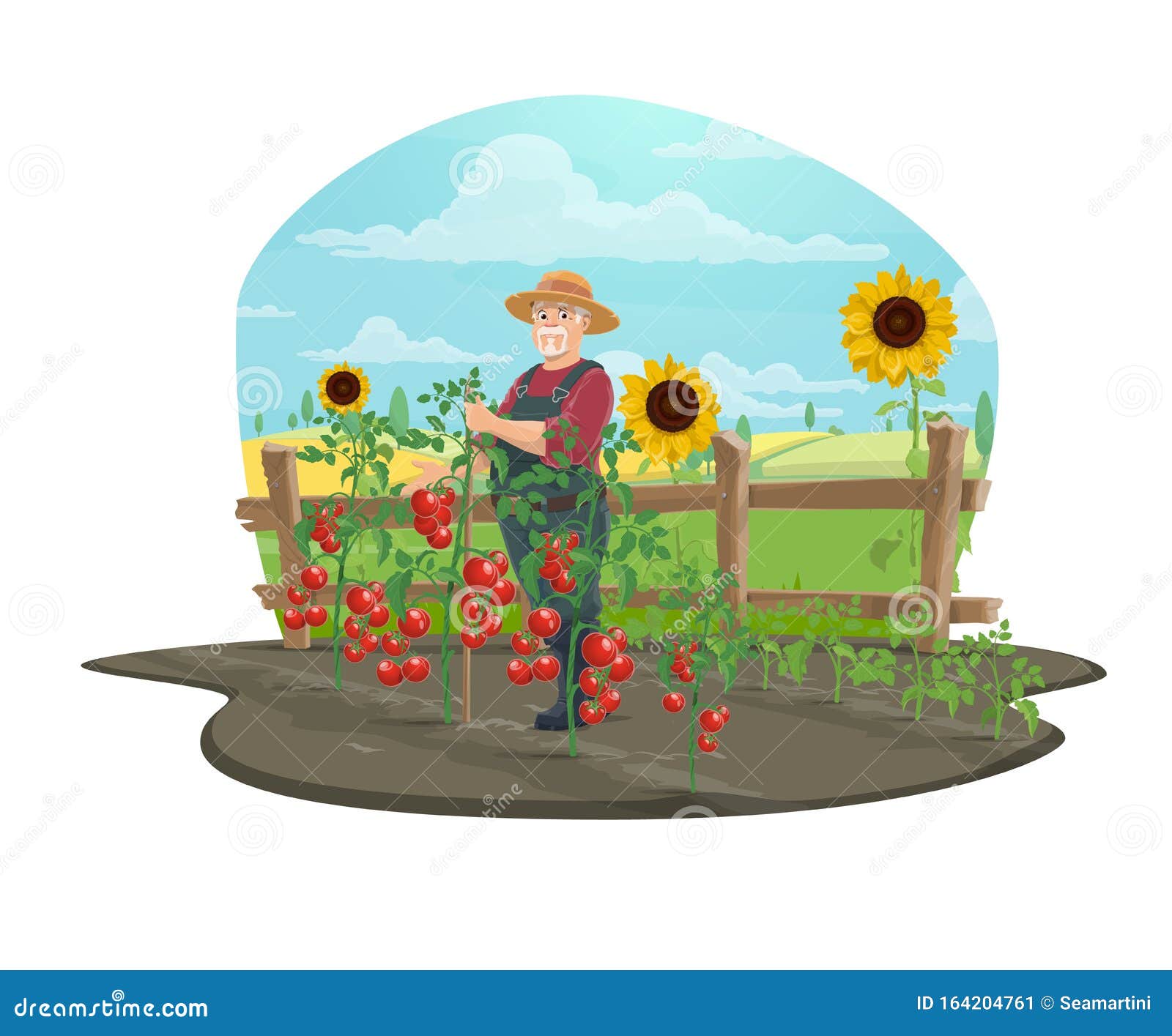 Farmer Trellising Tomato Vegetables On Farm Stock Vector Illustration