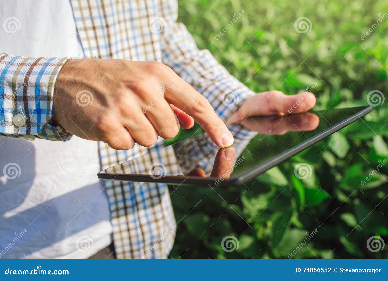 Farmer Using Digital Tablet Computer in Cultivated Soybean Crops Stock ...