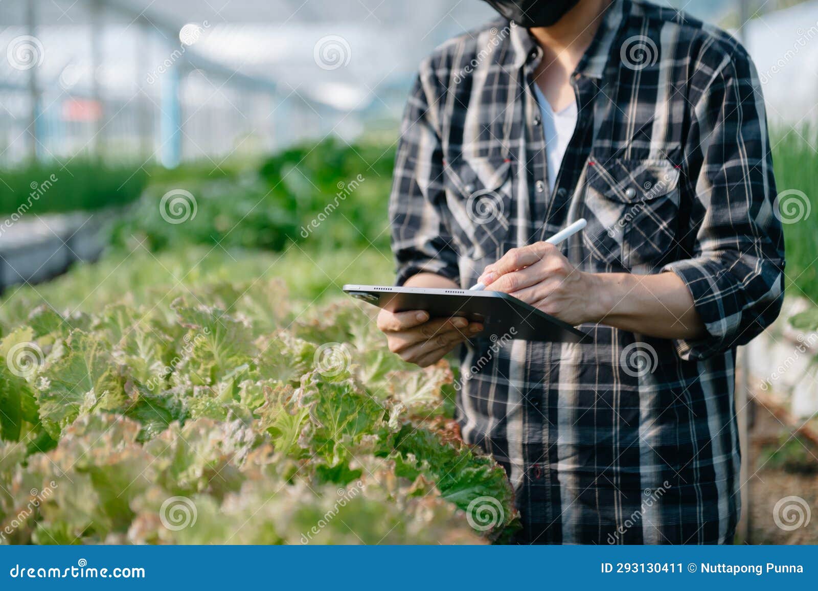 Farmer Using Digital Tablet Computer in Field, Technology Application ...