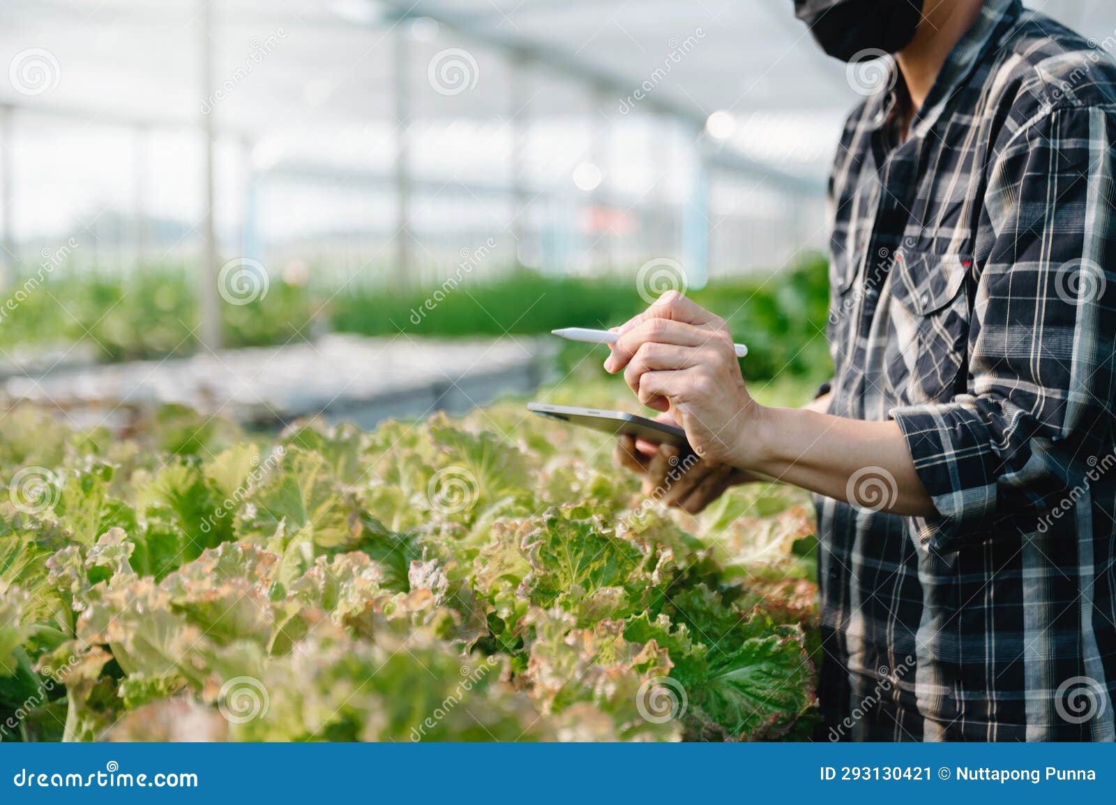 Farmer Using Digital Tablet Computer in Field, Technology Application ...