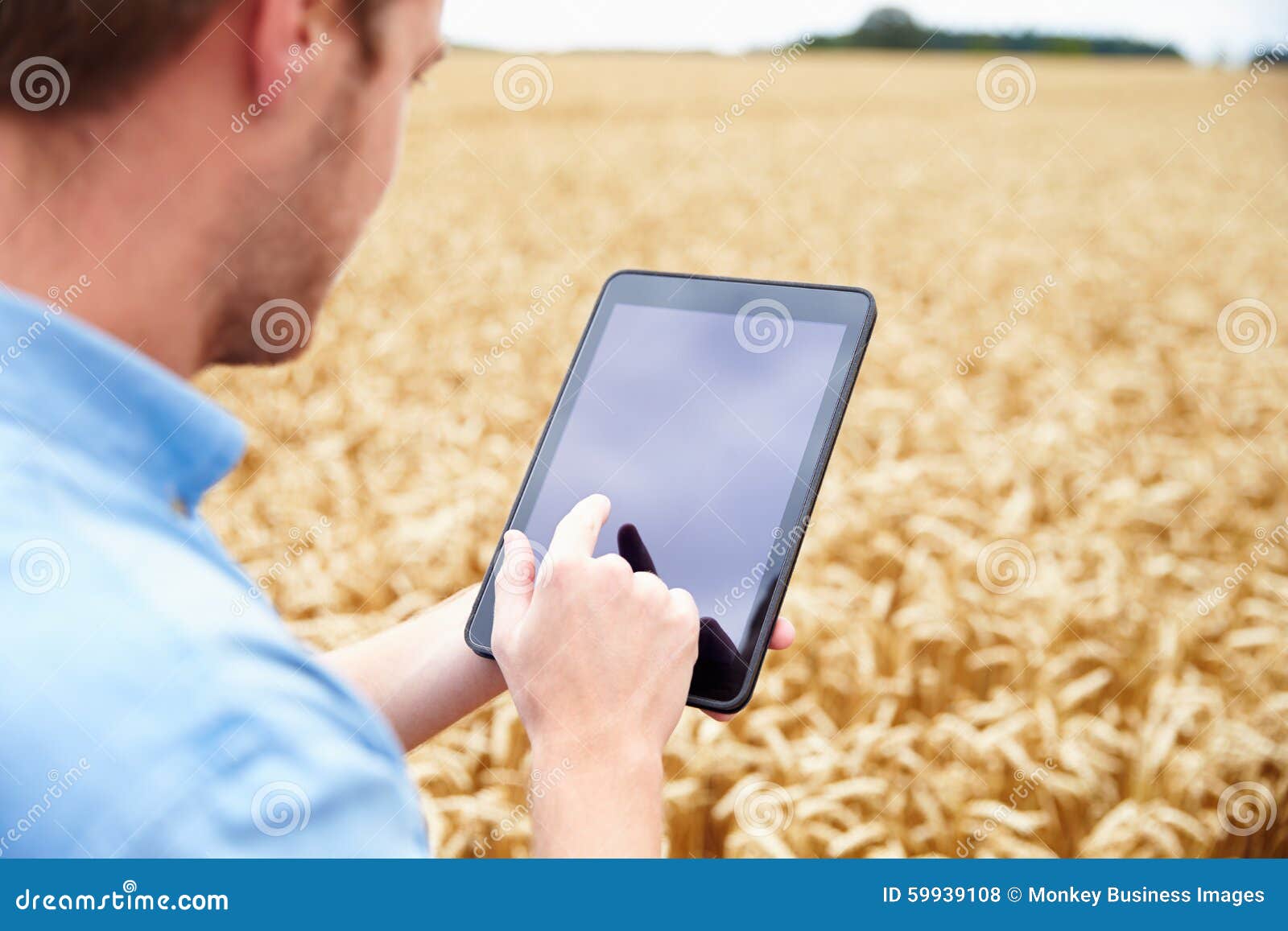 Farmer Using Digital Tablet in Field of Wheat Stock Photo - Image of ...