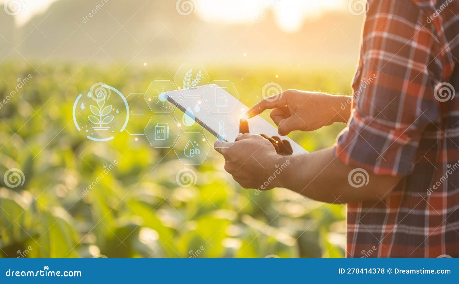 Farmer Using Digital Tablet Showing Smart Farming Interface Icons and ...