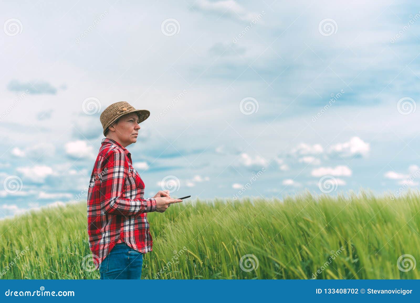 Farmer Using Digital Tablet in Wheat Crop Field Stock Photo - Image of ...